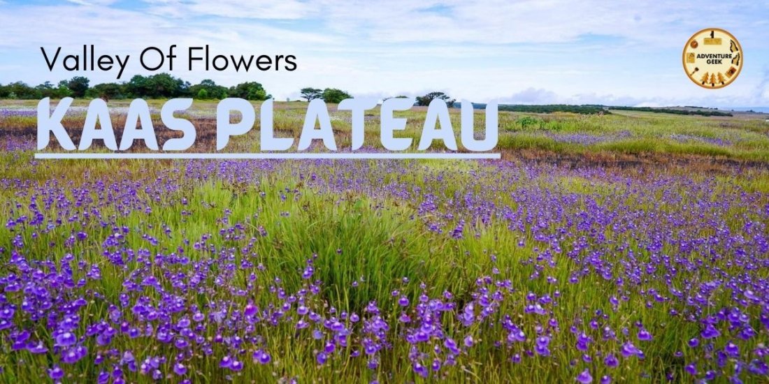 Kaas Pathar - Valley of Flowers 2023 Tickets, Satara, 15 September to ...