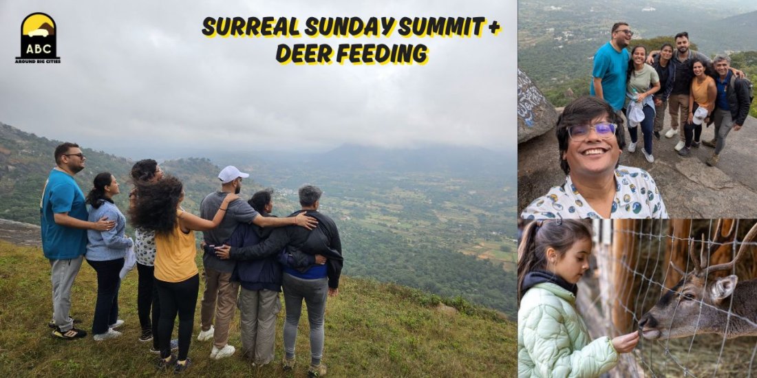Surreal Sunday Summit > Deer Feeding Tickets, Around Big Cities ...