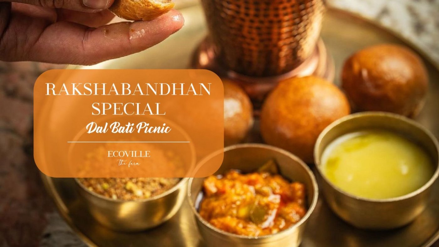 Dal Bati Picnic- Rakshabandhan, Ecoville- The Farm, Pune, 9 August 2025