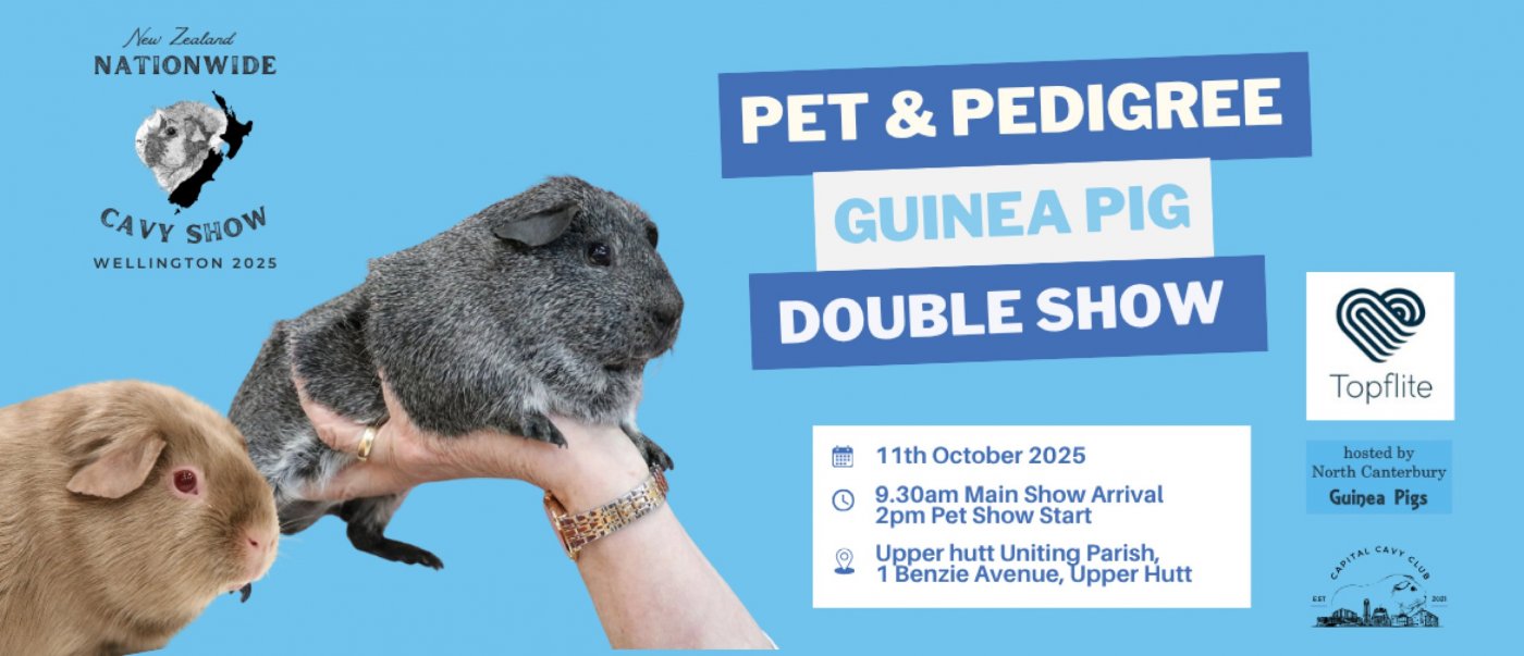 Nationwide Guinea Pig Double Show 2025, Upper Hutt Uniting Parish, 11 ...